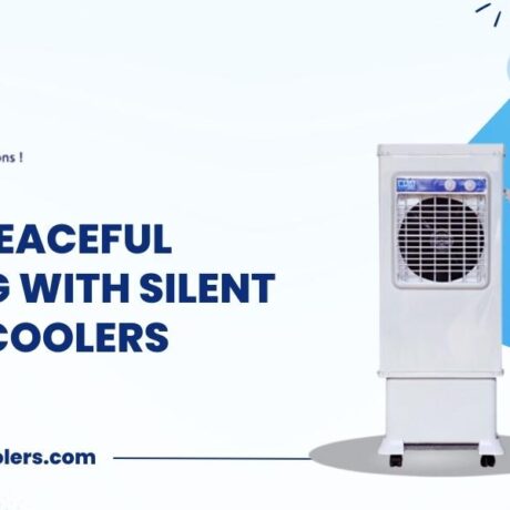 Optimal Climate Control with Industrial Air Coolers - Ramcoolers